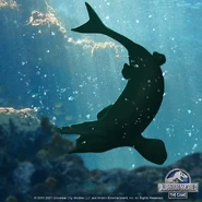 Platecarpus | Jurassic World: The Game Wiki | Fandom