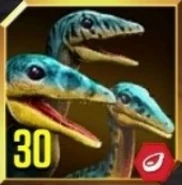 Compsognathus | Jurassic World: The Game Wiki | Fandom