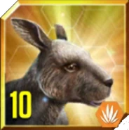 Procoptodon | Jurassic World: The Game Wiki | Fandom