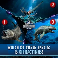 Xiphactinus | Jurassic World: The Game Wiki | Fandom