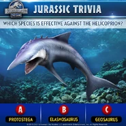 Helicoprion | Jurassic World: The Game Wiki | Fandom