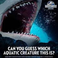 Megalodon | Jurassic World: The Game Wiki | Fandom