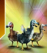 Dodo | Jurassic World: The Game Wiki | Fandom