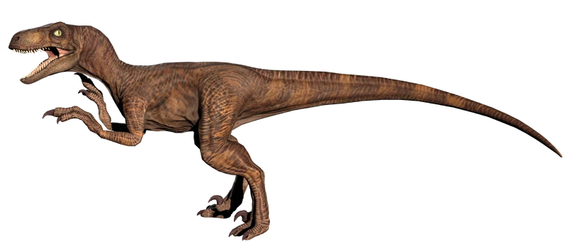 Velociraptor | Jurassic world x Pokémon Wiki | Fandom