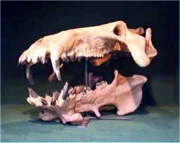 Entelodon | Jurassic Wiki | Fandom