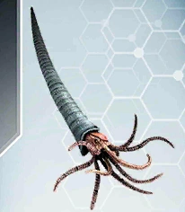 Baculites | Jurassic Park Institute Wiki | Fandom