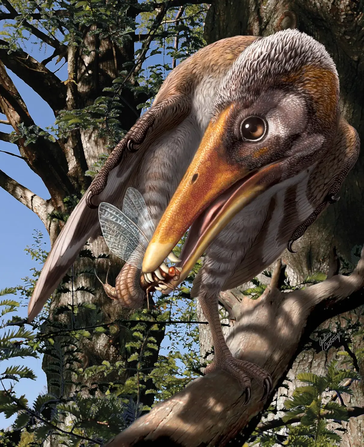 Longipteryx | Jurassic Park Institute Wiki | Fandom
