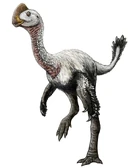 Elmisaurus | Jurassic Park Institute Wiki | Fandom