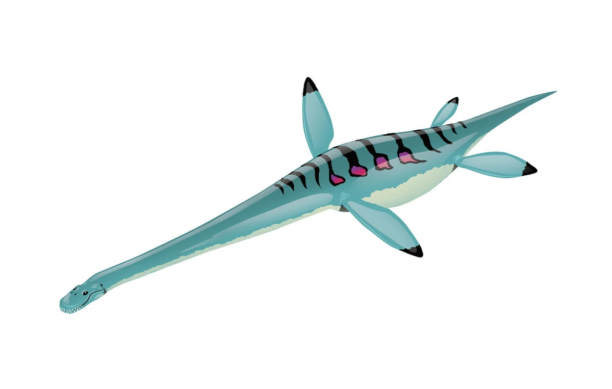 Plesiosaurus | Jurassic Park Institute Wiki | Fandom