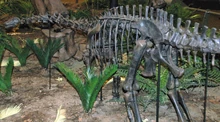 Brontosaurus | Jurassic Park Institute Wiki | Fandom