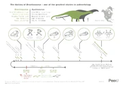 Brontosaurus | Jurassic Park Institute Wiki | Fandom