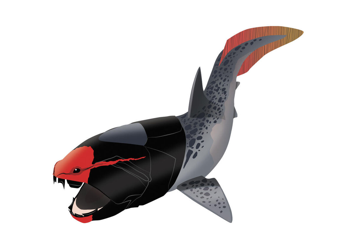 Dunkleosteus Jurassic Park Institute Wiki Fandom