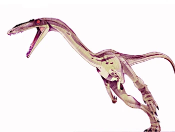 Podokesaurus | Jurassic Park Institute Wiki | Fandom