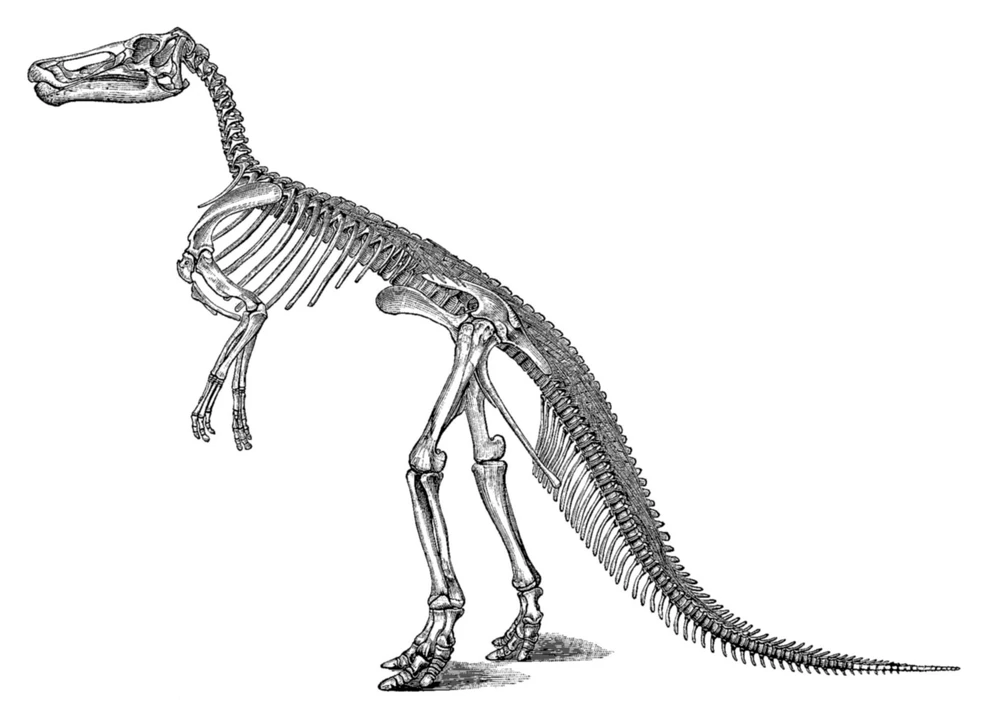 edmontosaurus coloring page