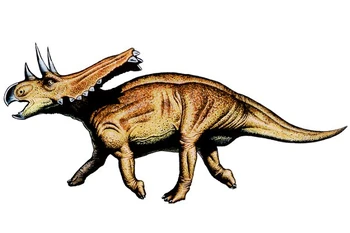 Chasmosaurus | Jurassic Park Institute Wiki | Fandom