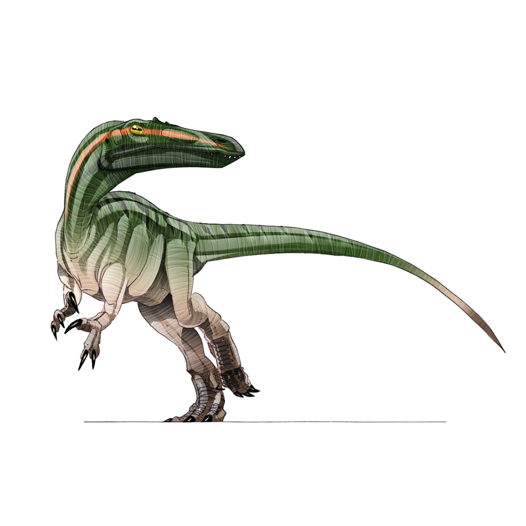 Archaeornithoides | Jurassic Park Institute Wiki | Fandom
