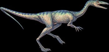 Compsognathus | Jurassic Park Institute Wiki | Fandom