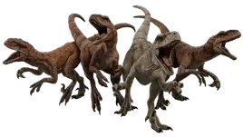 Atrociraptor | Jurassic Park Institute Wiki | Fandom