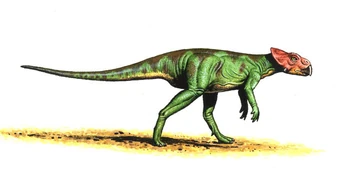 Microceratus | Jurassic Park Institute Wiki | Fandom