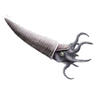 Orthoceras | Jurassic Park Institute Wiki | Fandom