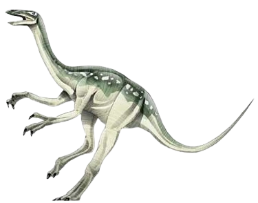 Struthiomimus | Jurassic Park Institute Wiki | Fandom