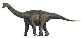 Rapetosaurus | Jurassic Park Institute Wiki | Fandom