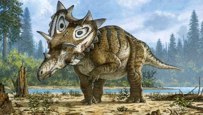 Spiclypeus | Jurassic Park Institute Wiki | Fandom