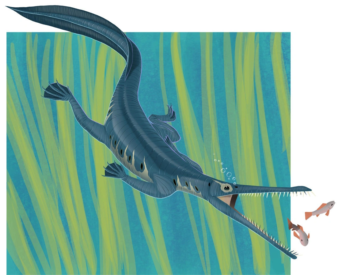 Mesosaurus | Jurassic Park Institute Wiki | Fandom