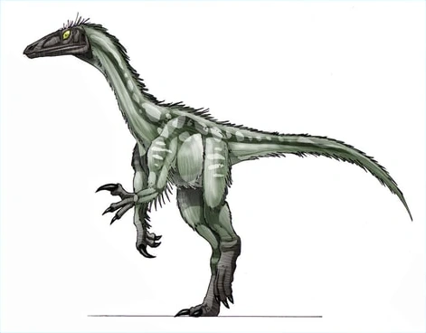Alvarezsaurus | Jurassic Park Institute Wiki | Fandom