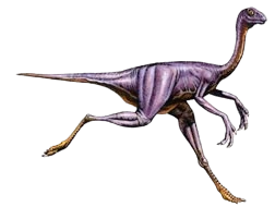 Avimimus | Jurassic Park Institute Wiki | Fandom