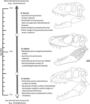 Daspletosaurus | Jurassic Park Institute Wiki | Fandom