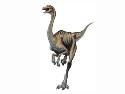 Gallimimus | Jurassic Park Institute Wiki | Fandom