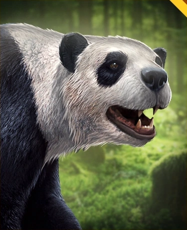 Ailurarctos | Jurassic Park Institute Wiki | Fandom