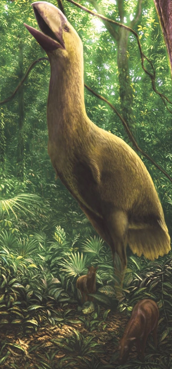 Gastornis | Jurassic Park Institute Wiki | Fandom