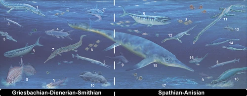 tanystropheus size comparison