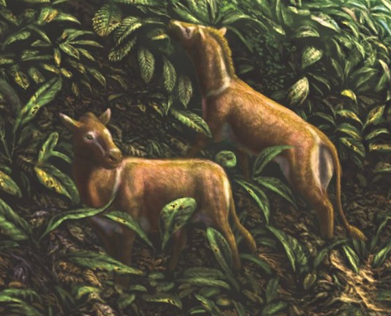 Eohippus Jurassic Park Institute Wiki Fandom