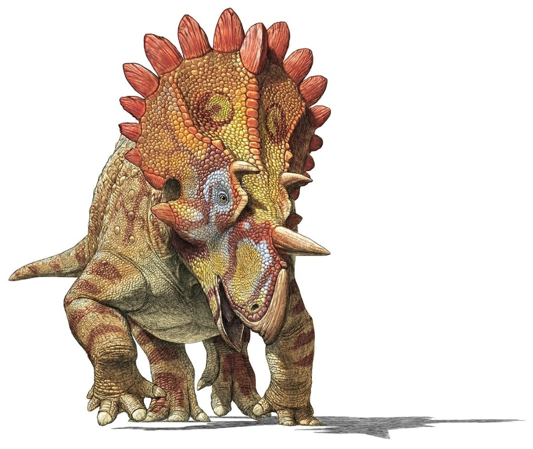 Regaliceratops | Jurassic Park Institute Wiki | Fandom