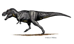 Tyrannosaurus | Jurassic Park Institute Wiki | Fandom