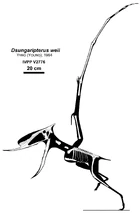 Dsungaripterus | Jurassic Park Institute Wiki | Fandom