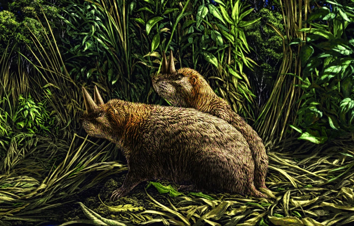 Horned gopher | Jurassic Park Institute Wiki | Fandom