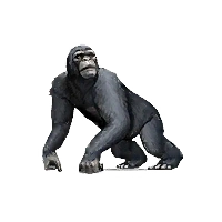 Gigantopithecus | Jurassic Park Institute Wiki | Fandom