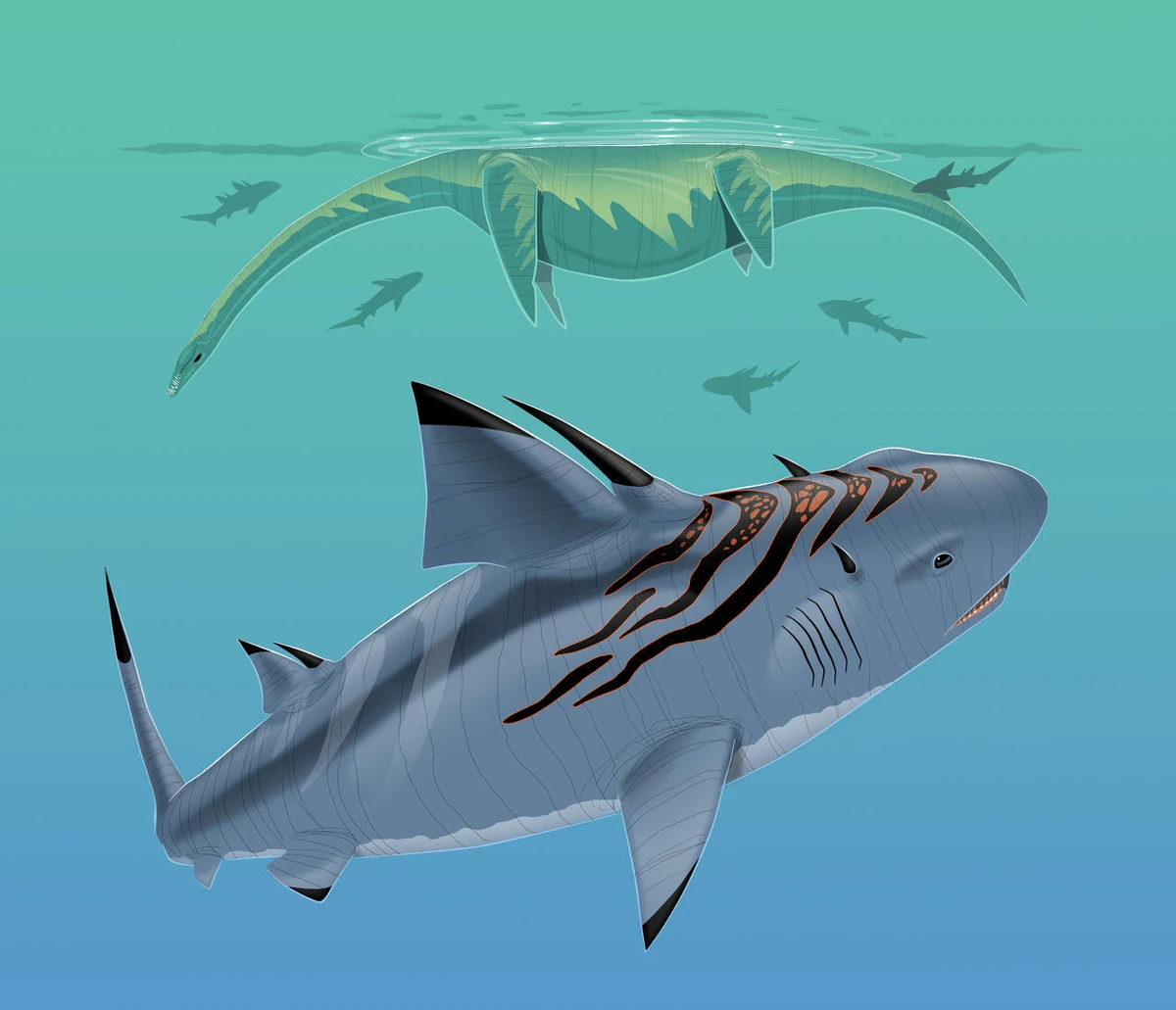 Hybodus | Jurassic Park Institute Wiki | Fandom