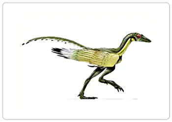 Protoavis | Jurassic Park Institute Wiki | Fandom