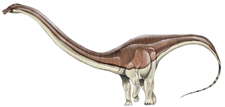 Barosaurus | Jurassic Park Institute Wiki | Fandom