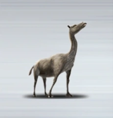 Aepycamelus | Jurassic Park Institute Wiki | Fandom