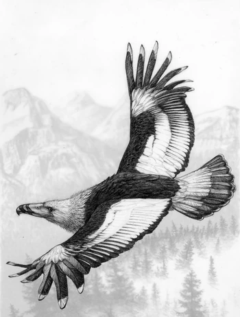 Argentavis | Jurassic Park Institute Wiki | Fandom