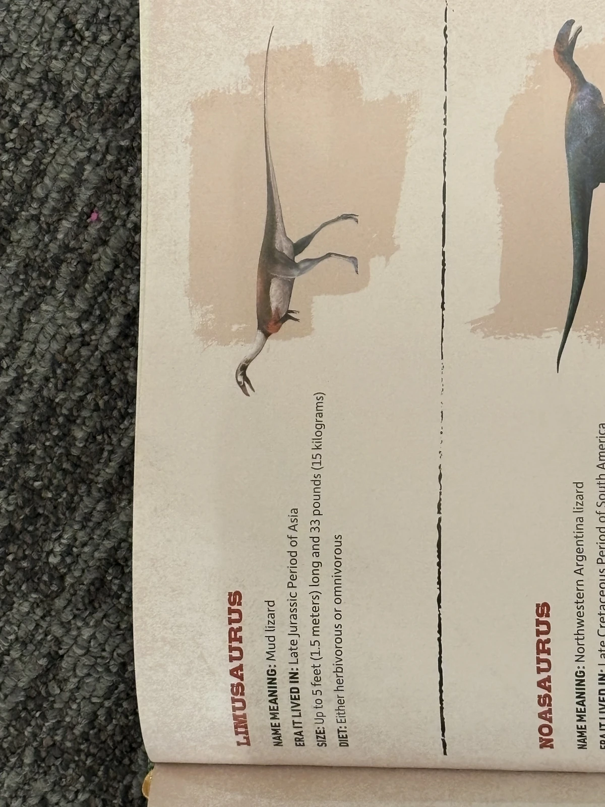 Limusaurus | Jurassic Park Institute Wiki | Fandom