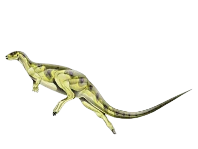 Dryosaurus | Jurassic Park Institute Wiki | Fandom