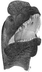 Sinosaurus | Jurassic Park Institute Wiki | Fandom