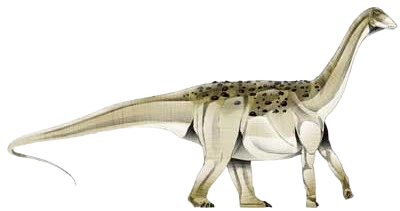 Saltasaurus | Jurassic Park Institute Wiki | Fandom